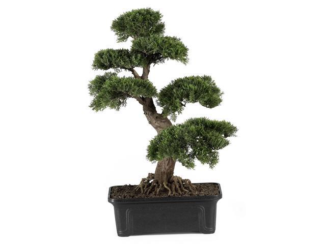 Click here for Nearly Natural 2 Cedar Bonsai Tree prices