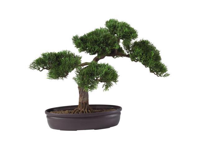 Click here for Nearly Natural 16 Cedar Bonsai Tree prices