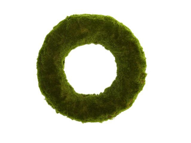 Click here for Nearly Natural 18 Moss Artificial Wreath prices