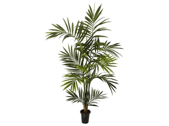 Click here for Nearly Natural 6 Kentia Palm Tree x 10/Fronds prices