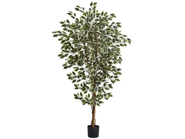 Click here for Nearly Natural 6 Hawaiian Ficus Tree x 3 w/1008 Lv... prices