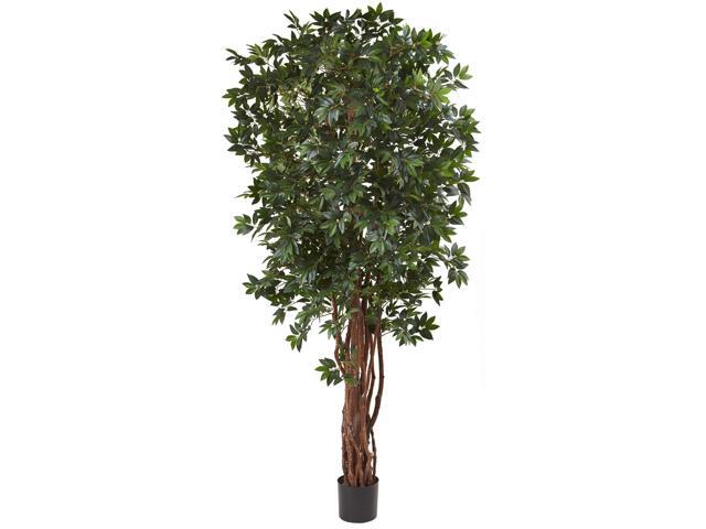 Click here for Nearly Natural 7.5 Lychee Tree x 7 w/5406 Lvs prices