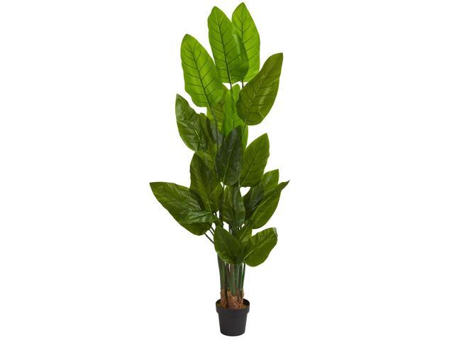 Click here for Nearly Natural 6 Canna Artificial Tree prices