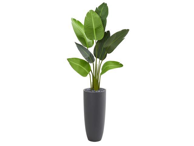 Click here for Nearly Natural 5.5 Travelers Palm Artificial Tree... prices