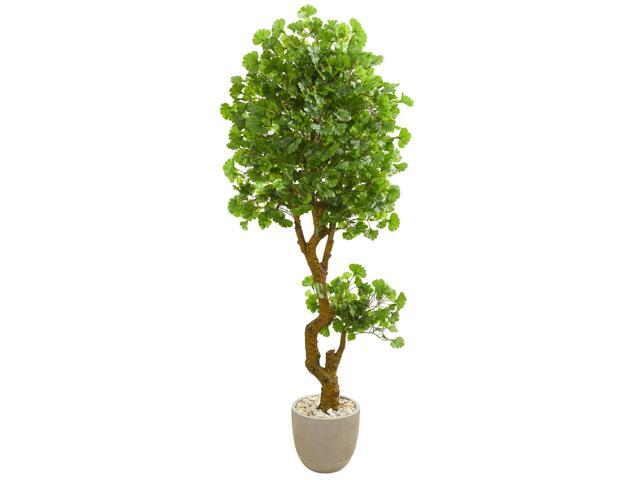 Click here for Nearly Natural 6.5 Jingo Tree in Planter UV Resist... prices
