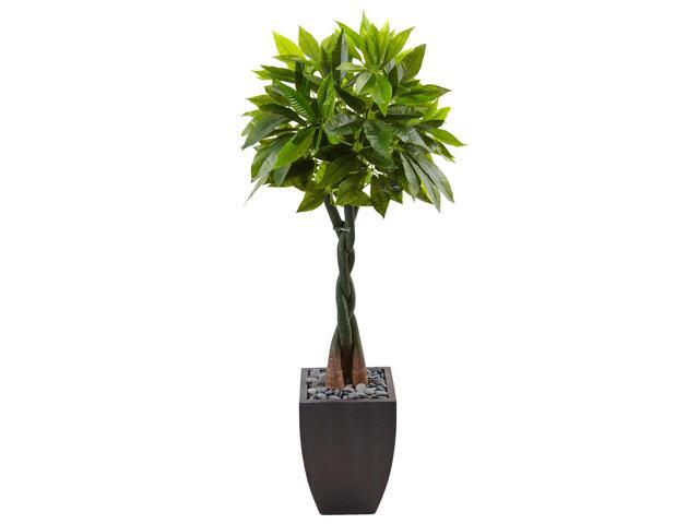 Click here for Nearly Natural 5 Money Tree in Black Square Plante... prices