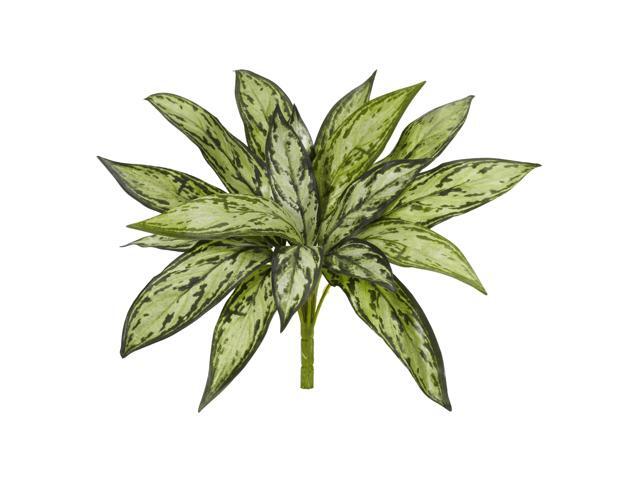 Click here for Nearly Natural 10 Silver Queen Artificial Plant (S... prices