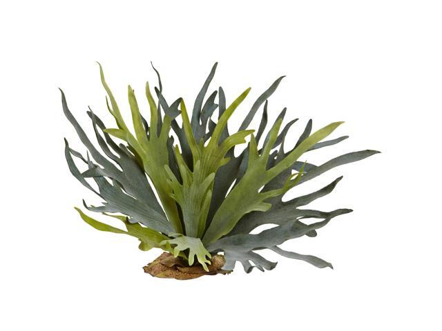 Click here for Nearly Natural 21in 21 Staghorn Fern (Set of 2)  2... prices