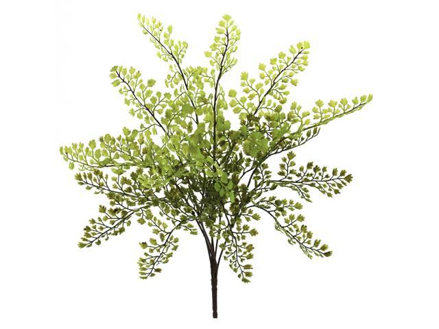 Click here for Nearly Natural 15 Maiden Hair Artificial Plant (Se... prices