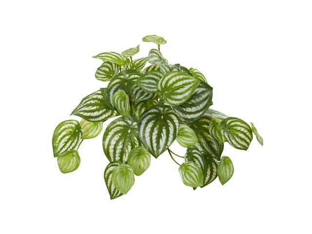 Click here for Nearly Natural 11 Peperomia Hanging Plant (Set of... prices