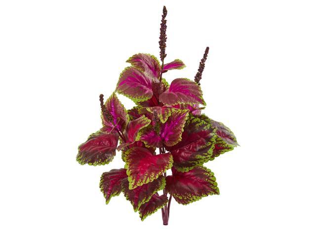 Click here for Nearly Natural 23 Coleus Bush Artificial Plant (Se... prices