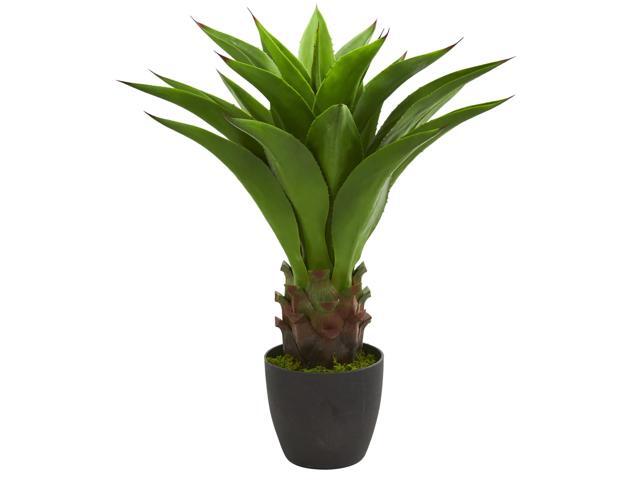 Click here for Nearly Natural 30 Agave Artificial Plant prices