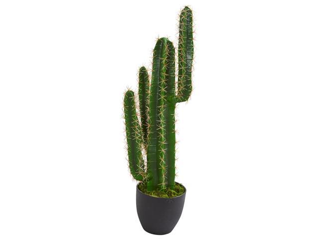 Click here for Nearly Natural 2.5 Cactus Artificial Plant prices