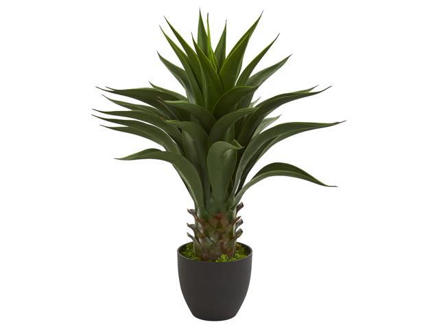 Click here for Nearly Natural 28 Agave Artificial Plant prices
