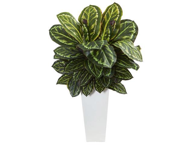 Click here for Nearly Natural 3 Maranta Plant in White Tower Vase prices