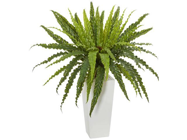 Click here for Nearly Natural 32 Rippled Birdsnest Plant in White... prices