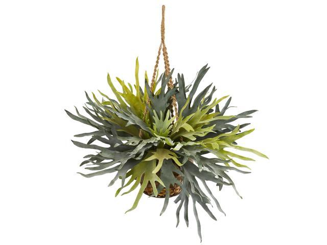 Click here for Nearly Natural 30 Staghorn Hanging Basket prices