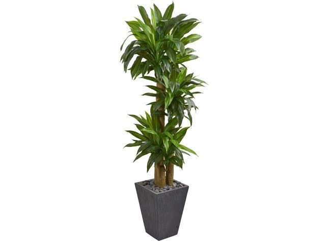 Click here for Nearly Natural 5.5 Cornstalk Dracaena Plant in Sla... prices