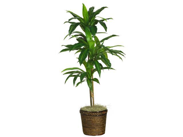 Click here for Nearly Natural 48 Dracaena w/Basket Silk Plant (Re... prices