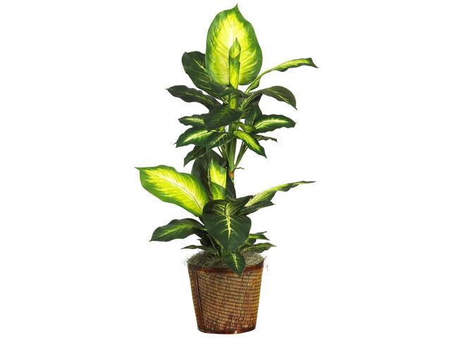 Click here for Nearly Natural 42 Golden Dieffenbachia w/Basket Si... prices