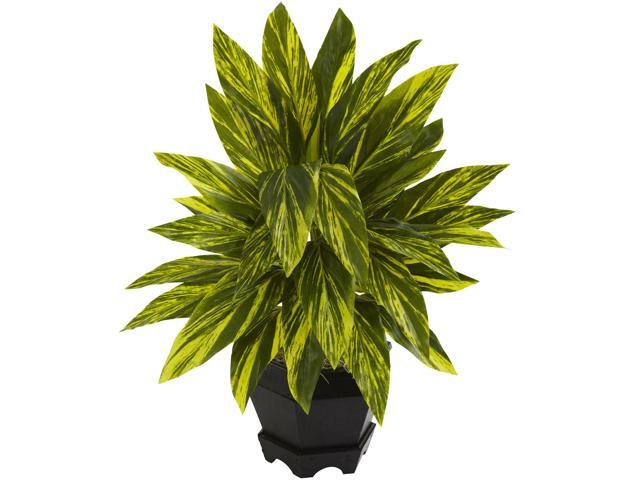 Click here for Nearly Natural Ginger Plant w/Black Planter prices