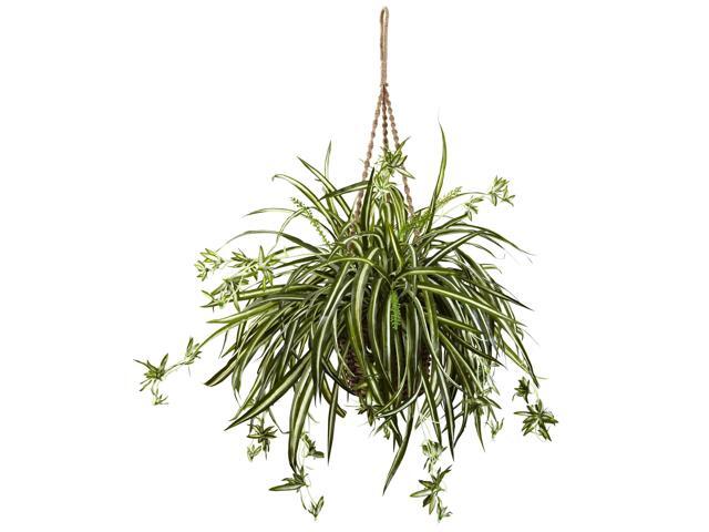 Click here for Nearly Natural 20 Spider Plant Hanging Basket prices