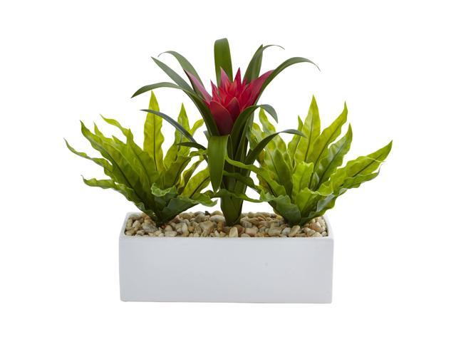 Click here for Nearly Natural 14 Bromeliad and Birdsnest in Recta... prices