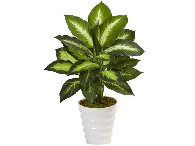 Click here for Nearly Natural 22 Dieffenbachia in Swirl Planter prices