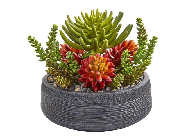 Click here for Nearly Natural 12 Succulent Garden Artificial Plan... prices