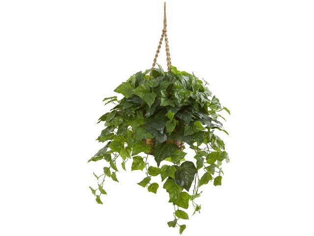 Click here for Nearly Natural 38 London Ivy Plant in Hanging Bask... prices