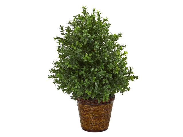 Click here for Nearly Natural 23 Sweet Grass Artificial Plant in... prices