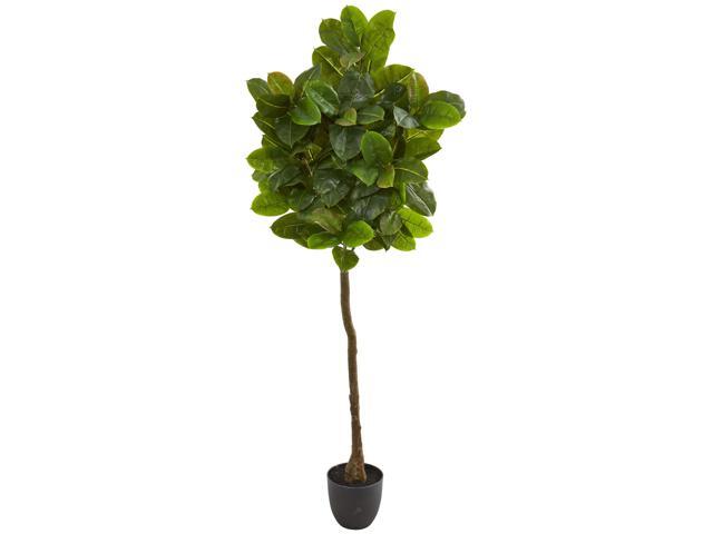 Click here for Nearly Natural 6 Rubber Leaf Artificial Tree (Real... prices
