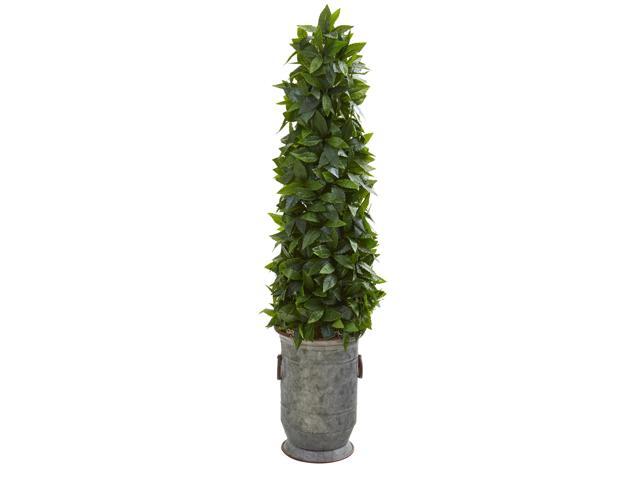 Click here for Nearly Natural 40 Sweet Bay Cone Topiary Tree in V... prices