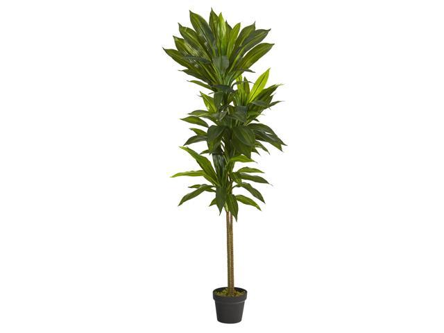 Click here for Nearly Natural 56 Dracaena Artificial Plant (Real... prices