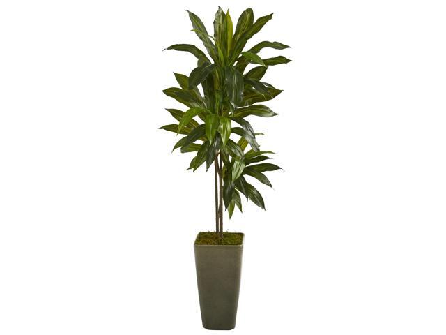 Click here for Nearly Natural 4.5 Dracaena Artificial Plant in Gr... prices