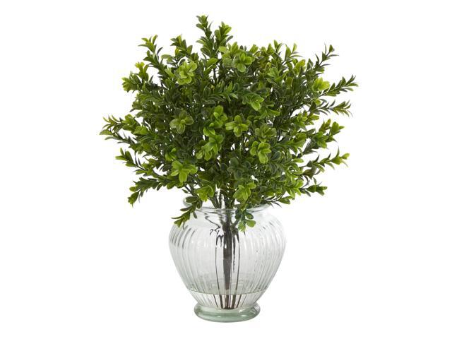 Click here for Nearly Natural 14 Boxwood Plant in Glass Planter (... prices