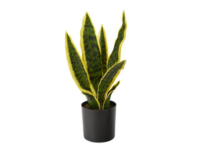 Click here for Nearly Natural 14 Sansevieria Artificial Plant prices