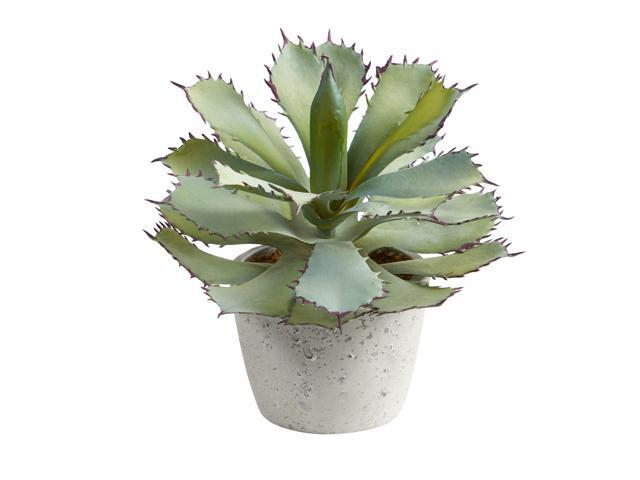 Click here for Nearly Natural 11 Succulent Artificial Plant prices
