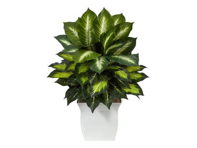 Click here for Nearly Natural 2 Golden Dieffenbachia Plant in Whi... prices