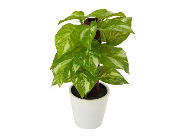 Click here for Nearly Natural 9 Pothos Artificial Plant in White... prices