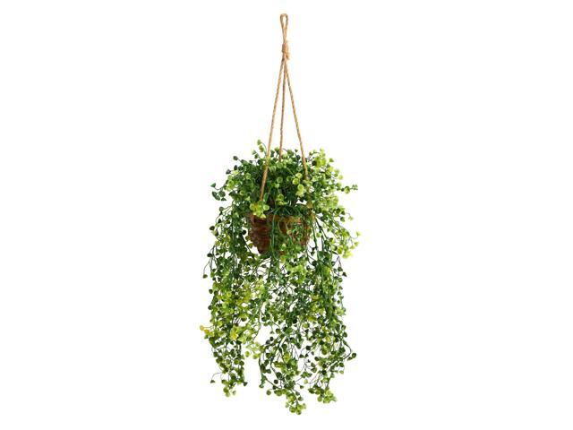 Click here for Nearly Natural 20 Baby Tear Artificial Plant in Ha... prices