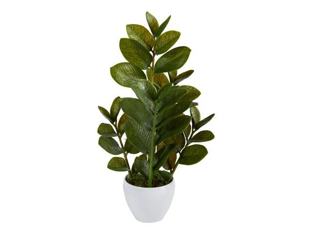 Click here for Nearly Natural 22 Zamioculcas Artificial Plant in... prices