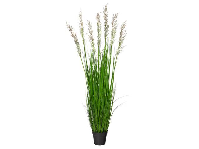 Click here for Nearly Natural 4.5 Plum Grass Artificial Plant prices