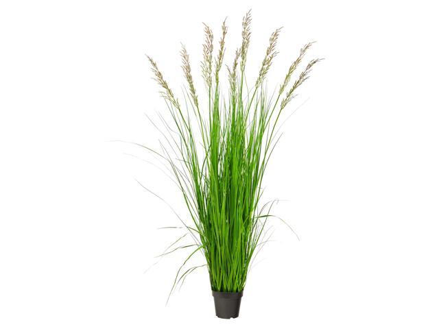 Click here for Nearly Natural 5.5 Plum Grass Artificial Plant prices