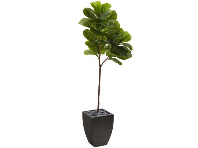Click here for Nearly Natural 5.5 Fiddle Leaf Tree in Black Plant... prices