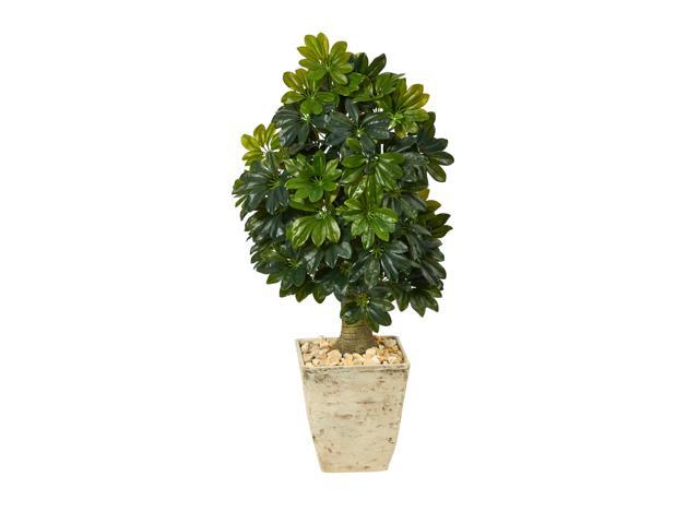 Click here for Nearly Natural 3.5 Schefflera Tree in Country Whit... prices