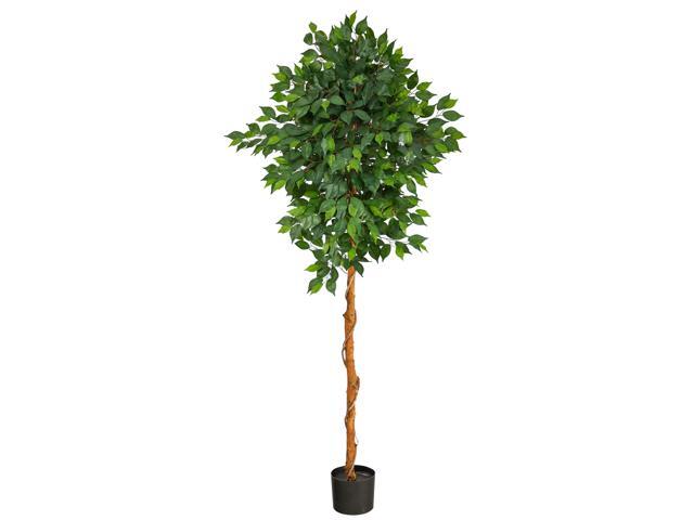 Click here for Nearly Natural 6 Ficus Artificial Tree prices