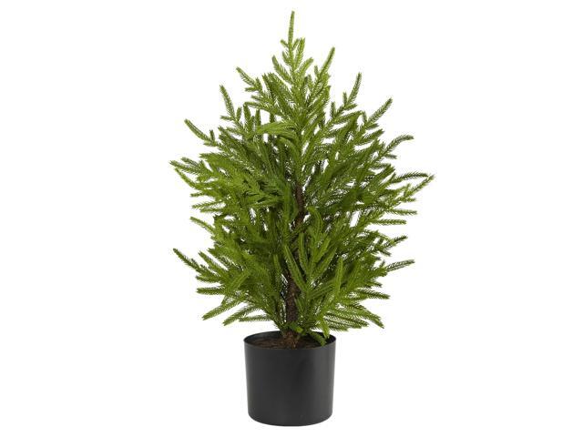 Click here for Nearly Natural 2 Norfolk Island Pine Natural Look... prices