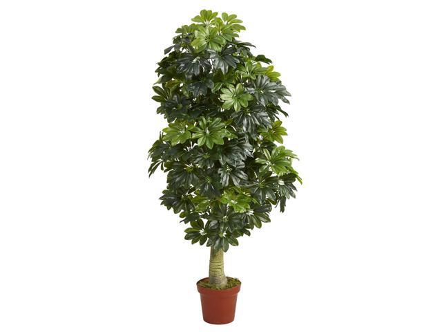 Click here for Nearly Natural 5 Schefflera Artificial Tree (Real... prices
