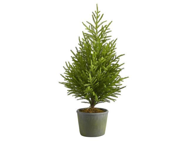 Click here for Nearly Natural 3 Norfolk Island Pine Natural Look... prices